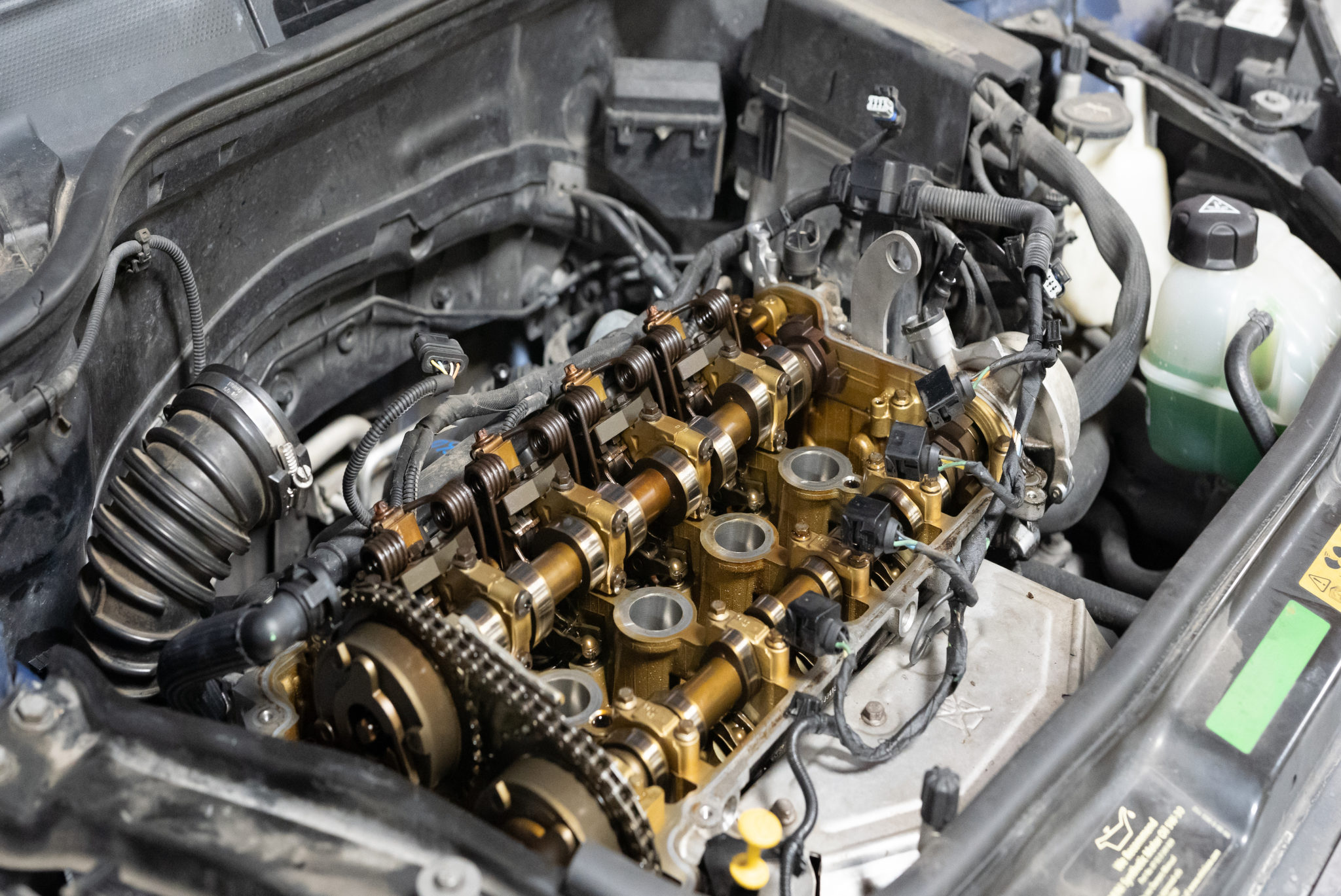 Best BMW Repair Service in Dallas & Plano | Bimmers Only